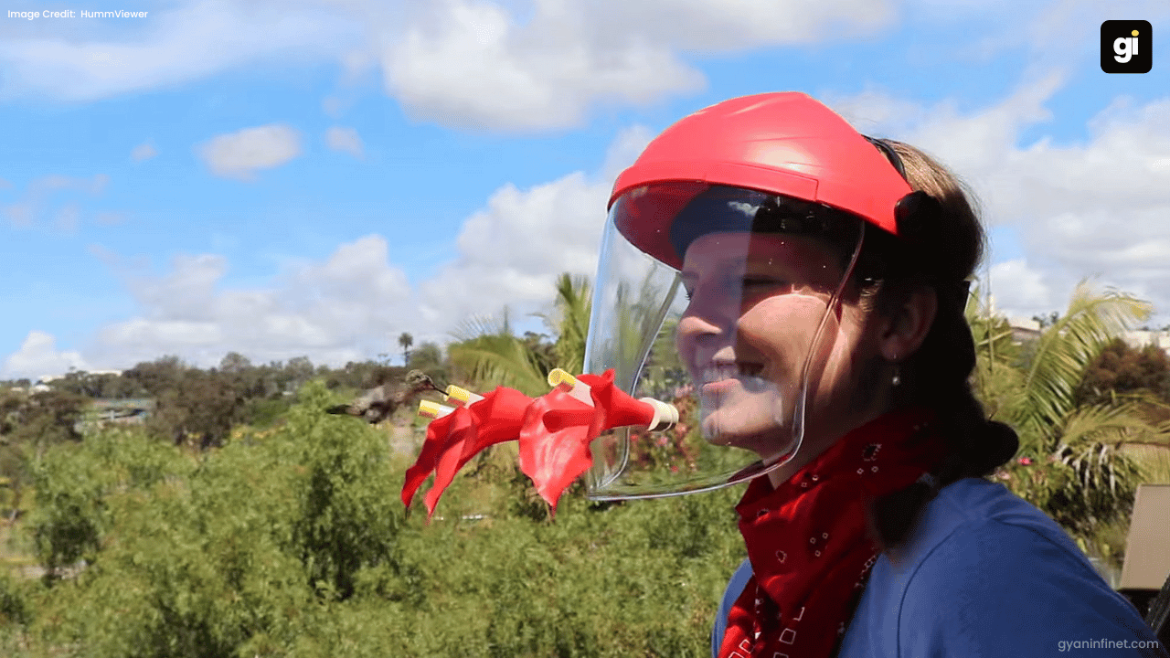 What Happened To HummViewer After Shark Tank?