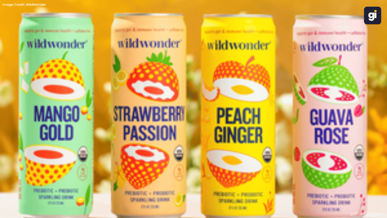 What Happened To Wildwonder After The Shark Tank?